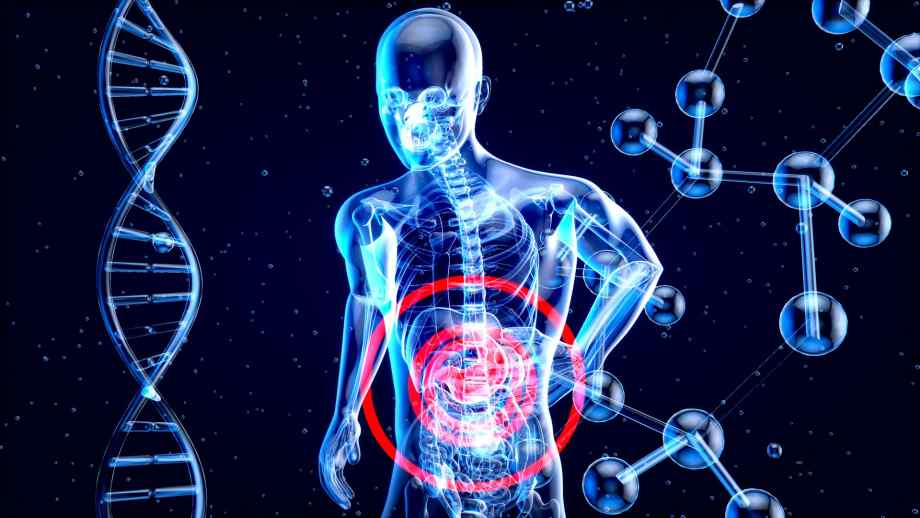 Cancer du pancréas : 7 symptômes précoces que vous ignorez peut-être ...